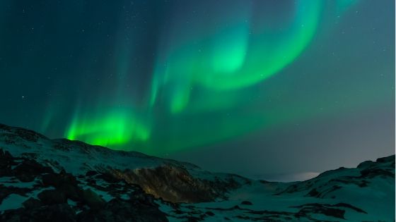 2021 In Reflection – Endless May Dreams